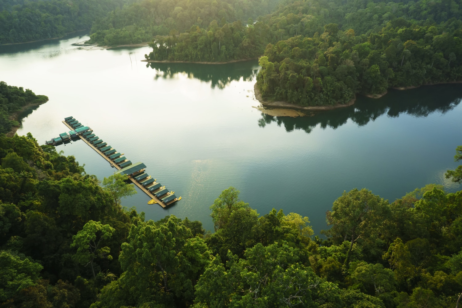 - Elephant Hills Rainforest Camp